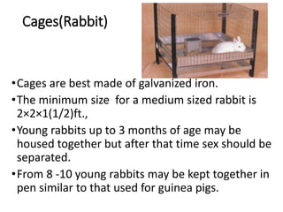 Handling of laboratory animal | PPTX