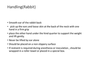 Handling of laboratory animal | PPTX