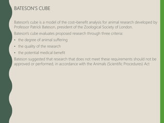 Animal Experimentation- Contemporary Issue | PPTX