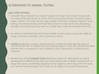 Animal Experimentation- Contemporary Issue | PPTX