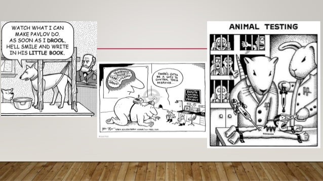 Animal experimentation