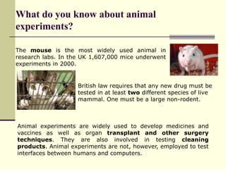 Animal experimentation | PPT