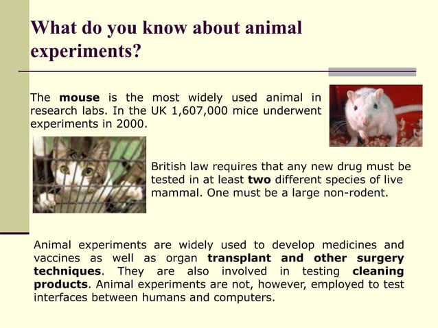 Animal experimentation | PPT | Biological Sciences | Science