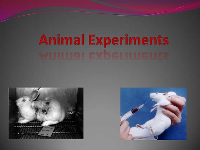 Animal experiments | PPTX | Veterinary Medicine | Pets