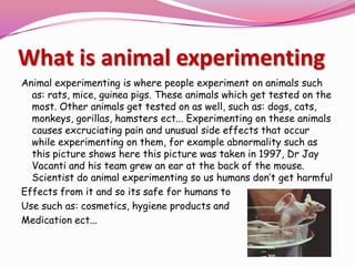 Animal experiments | PPTX