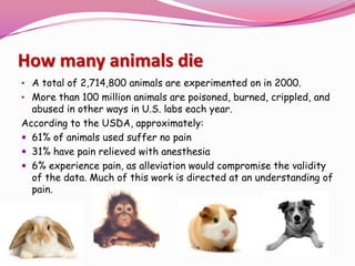 Animal experiments | PPTX