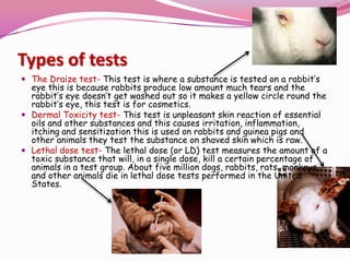 Animal experiments | PPTX