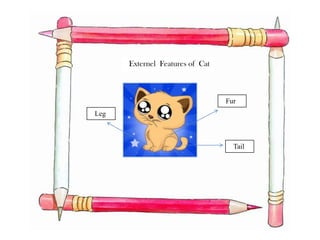 Animal external features | PPSX