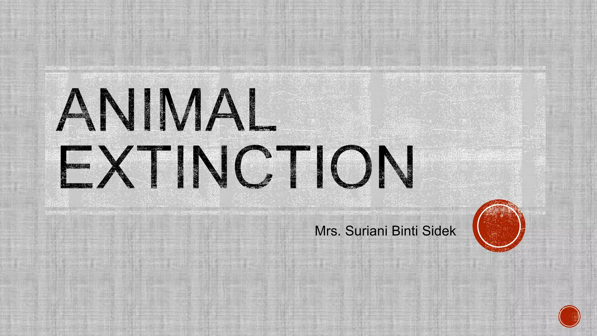 Animal Extinction | PPT