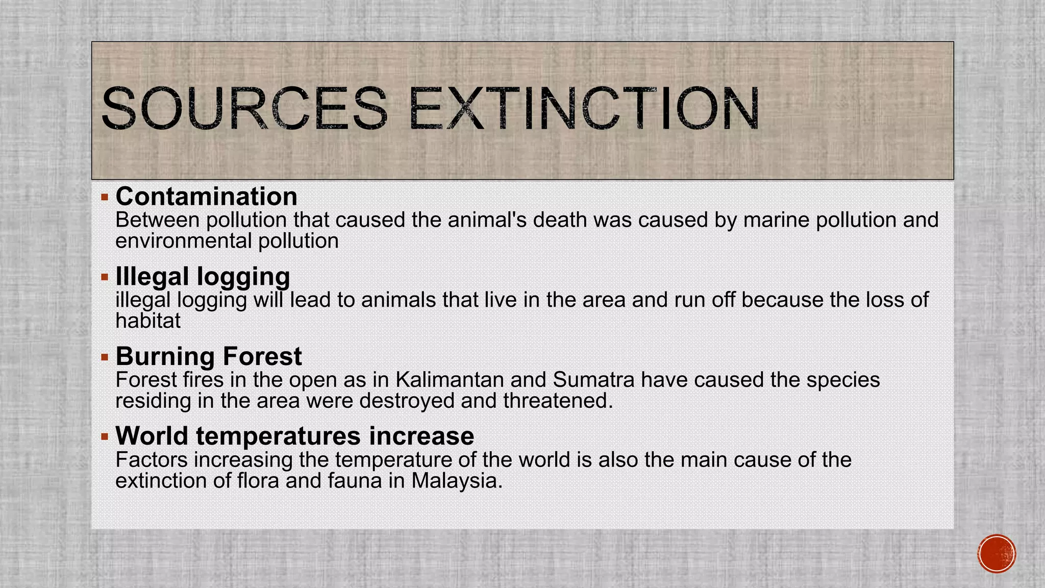 Animal Extinction | PPT