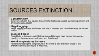 Animal Extinction | PPT