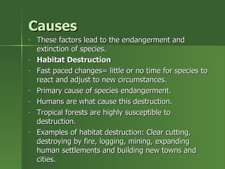Animal Extinctionand Endangerment | PPT