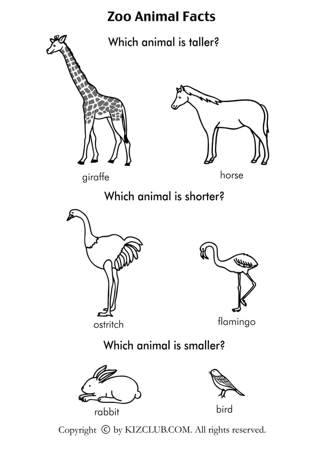 Animalfact | PDF | Zoos & Aquariums | Attractions