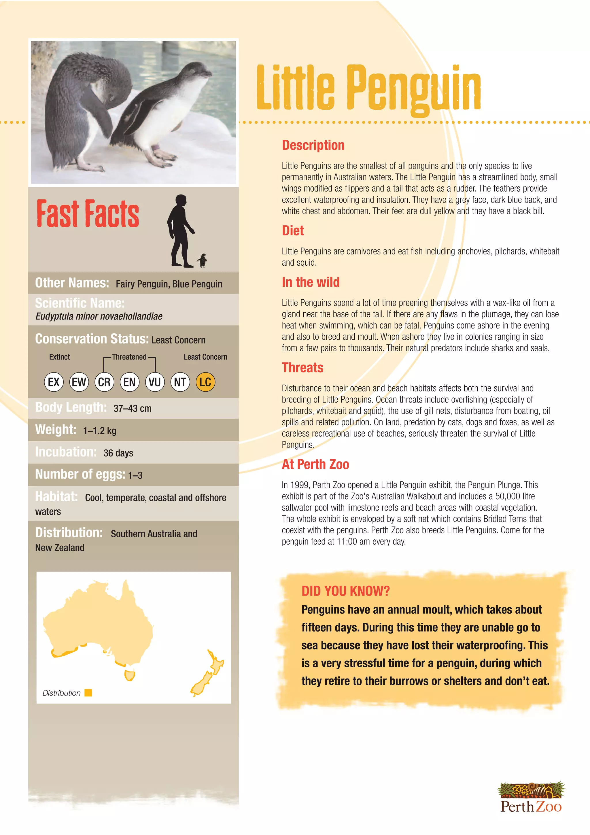 Animal fact sheets | PDF