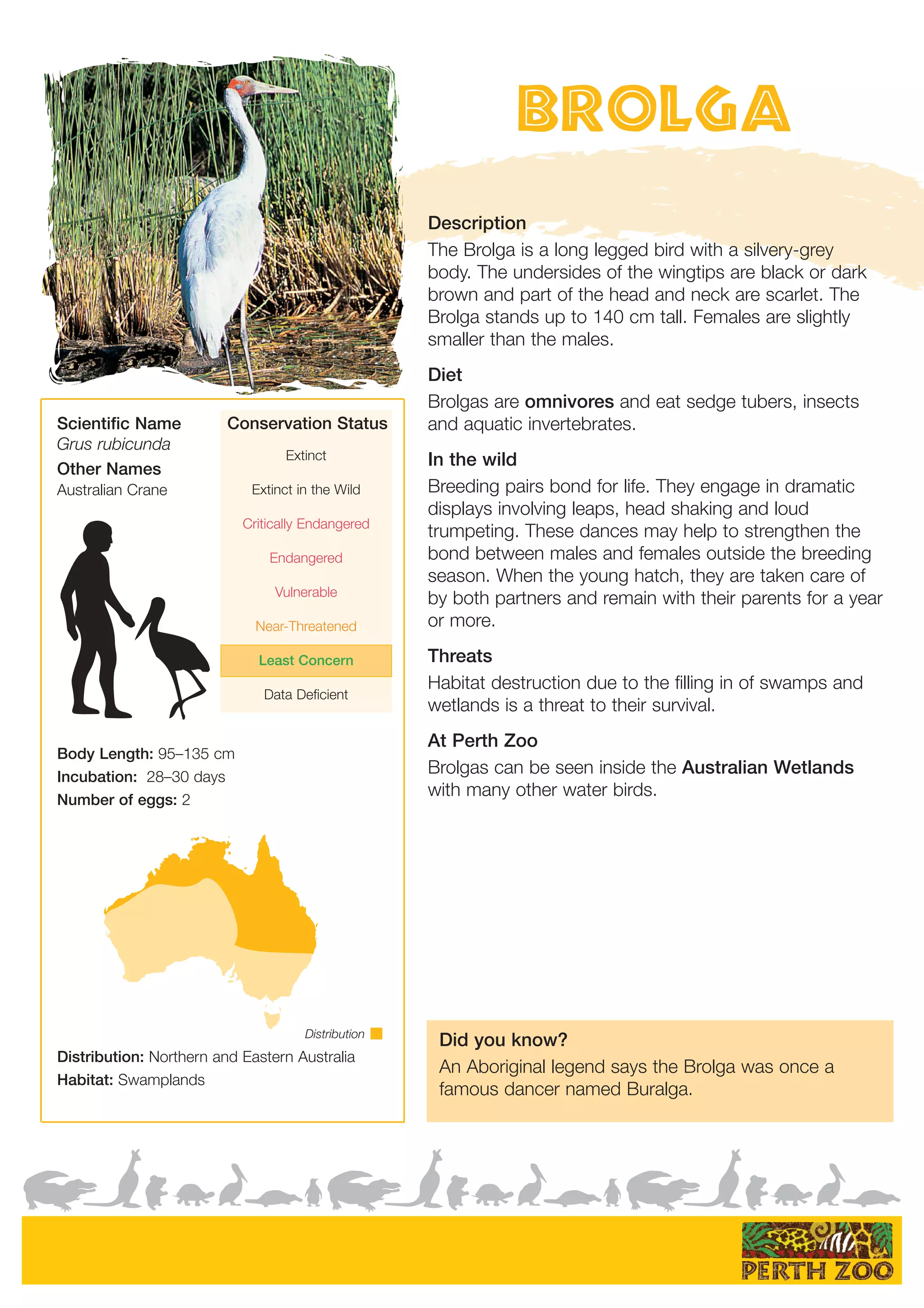 Animal fact sheets | PDF