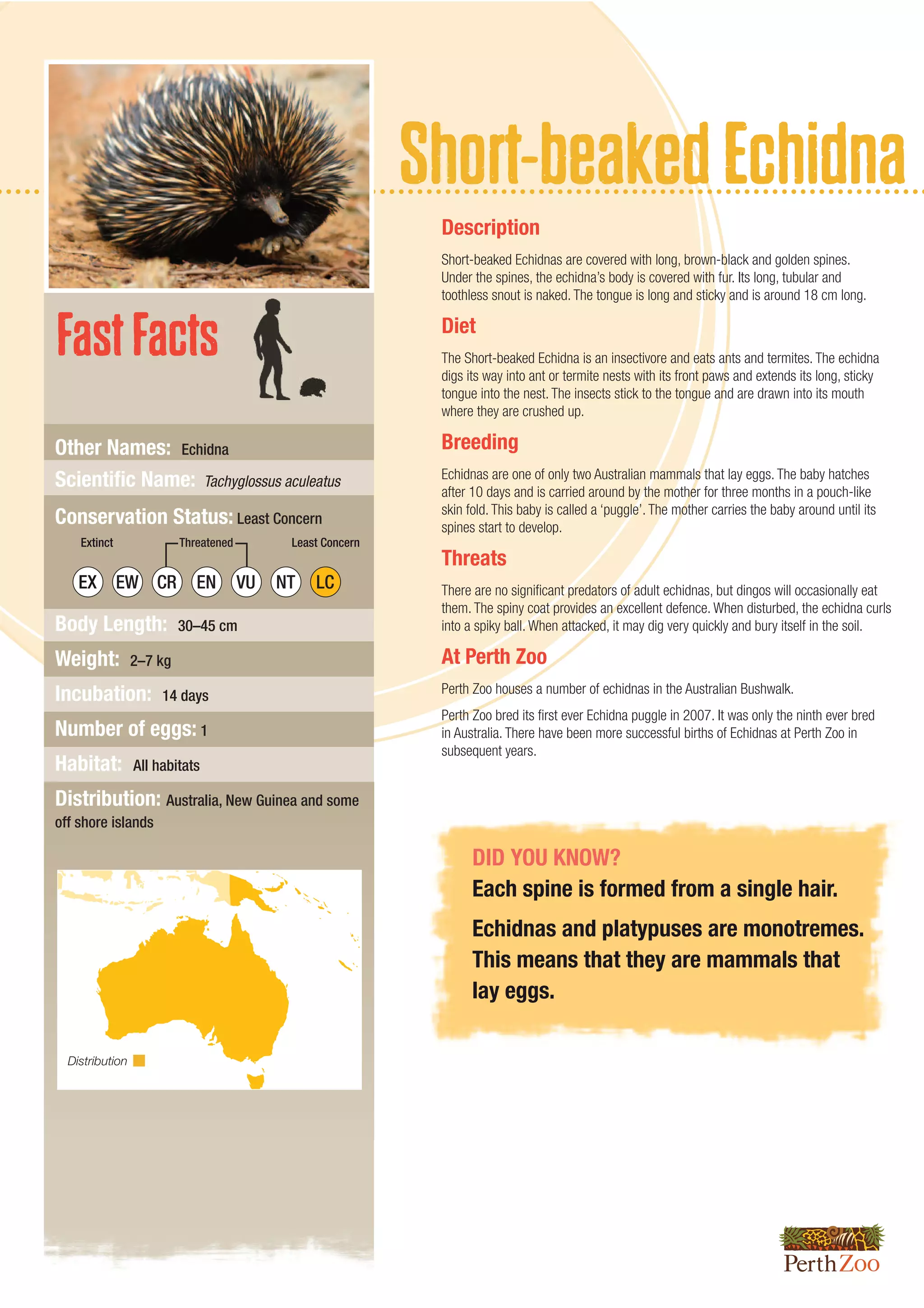 Animal fact sheets | PDF