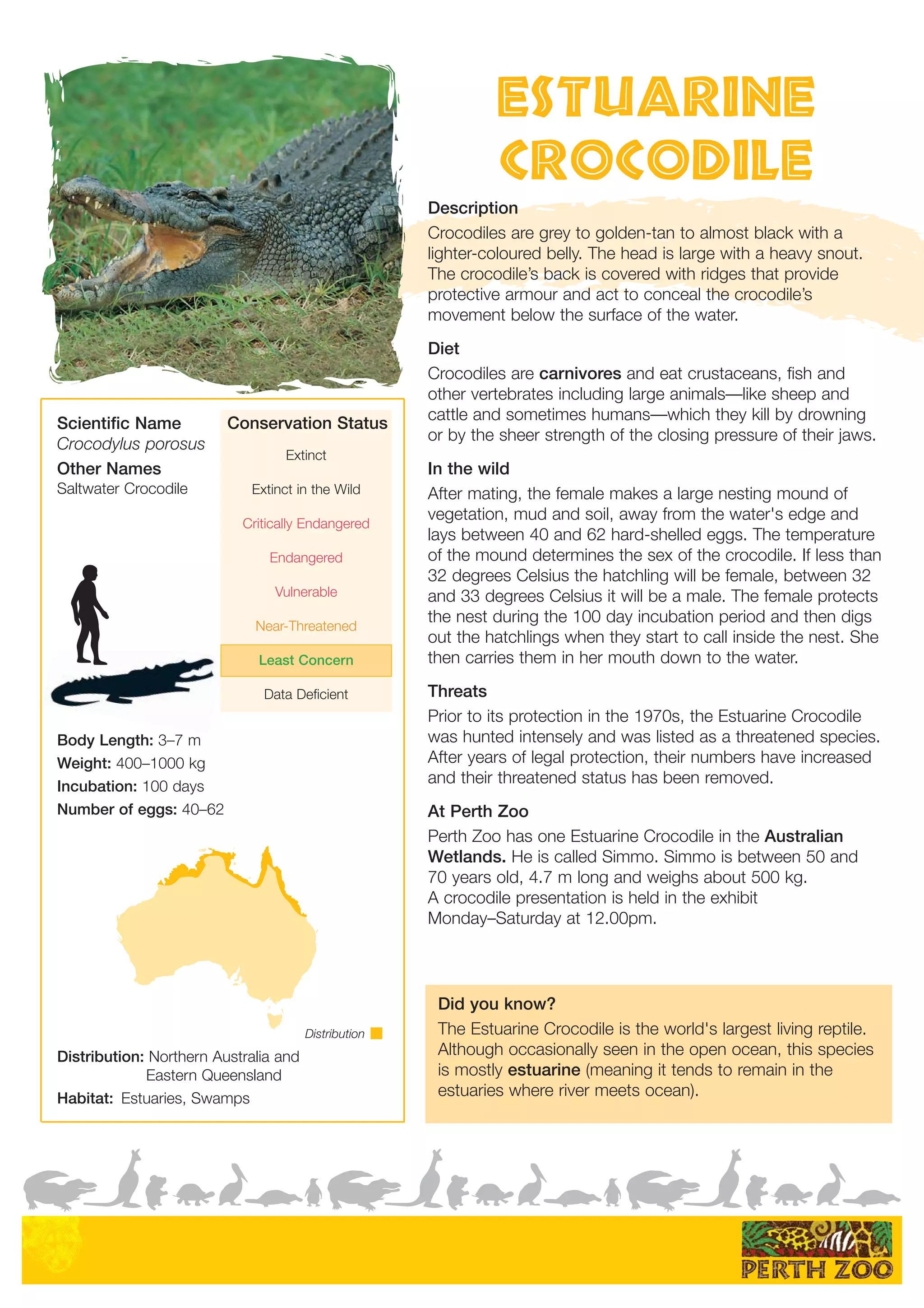 Animal fact sheets | PDF