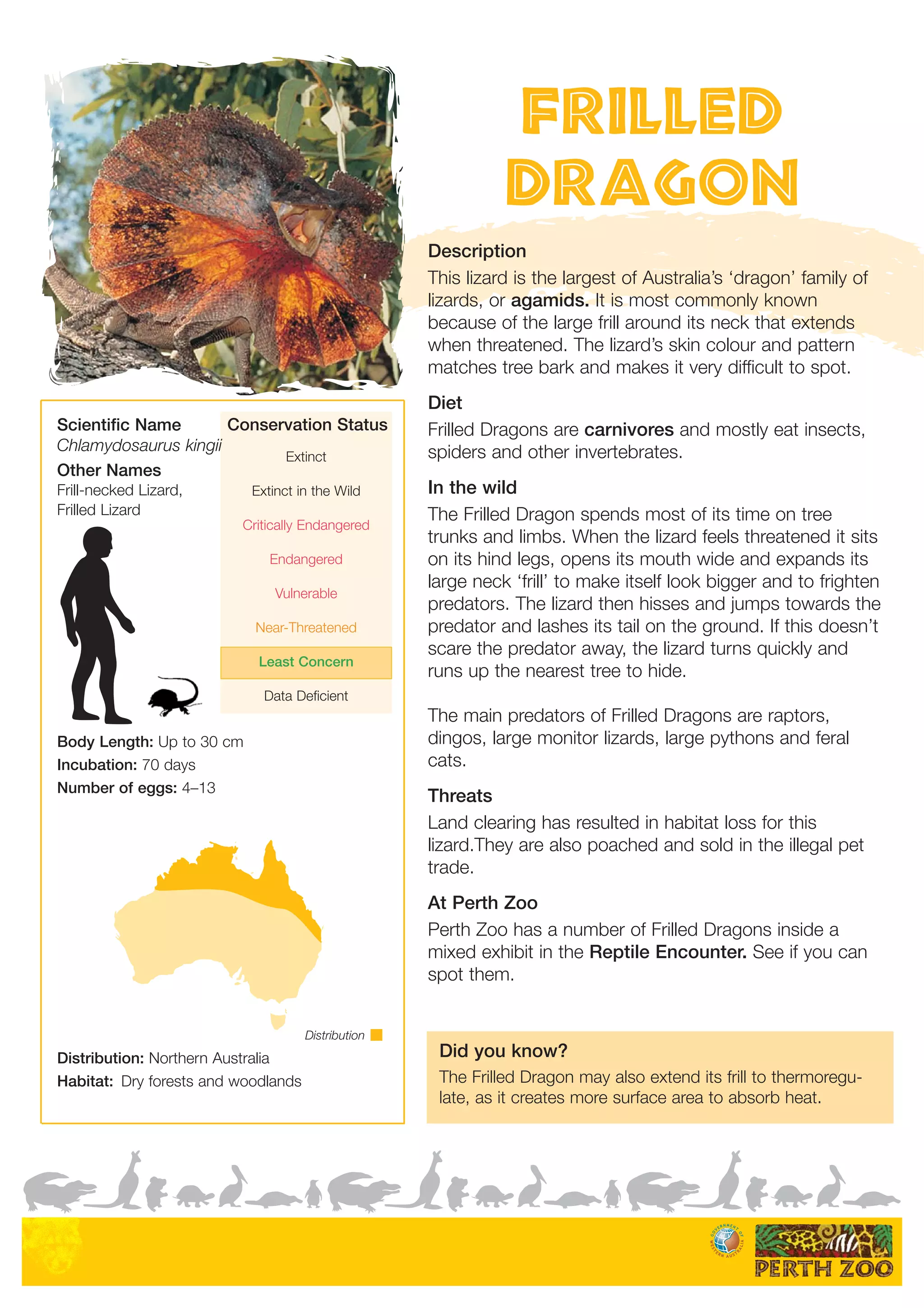 Animal fact sheets | PDF | Free Download