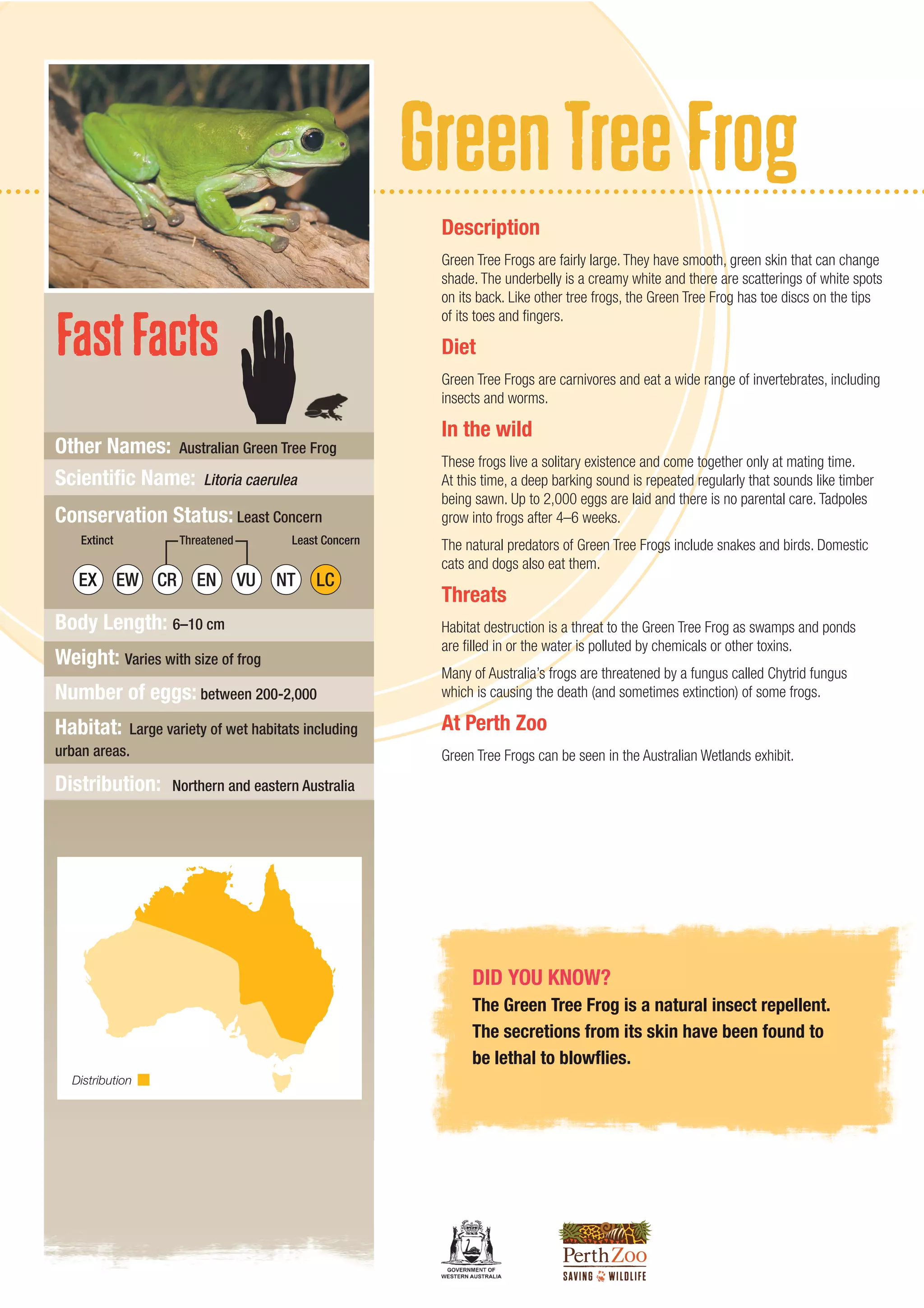 Animal fact sheets | PDF