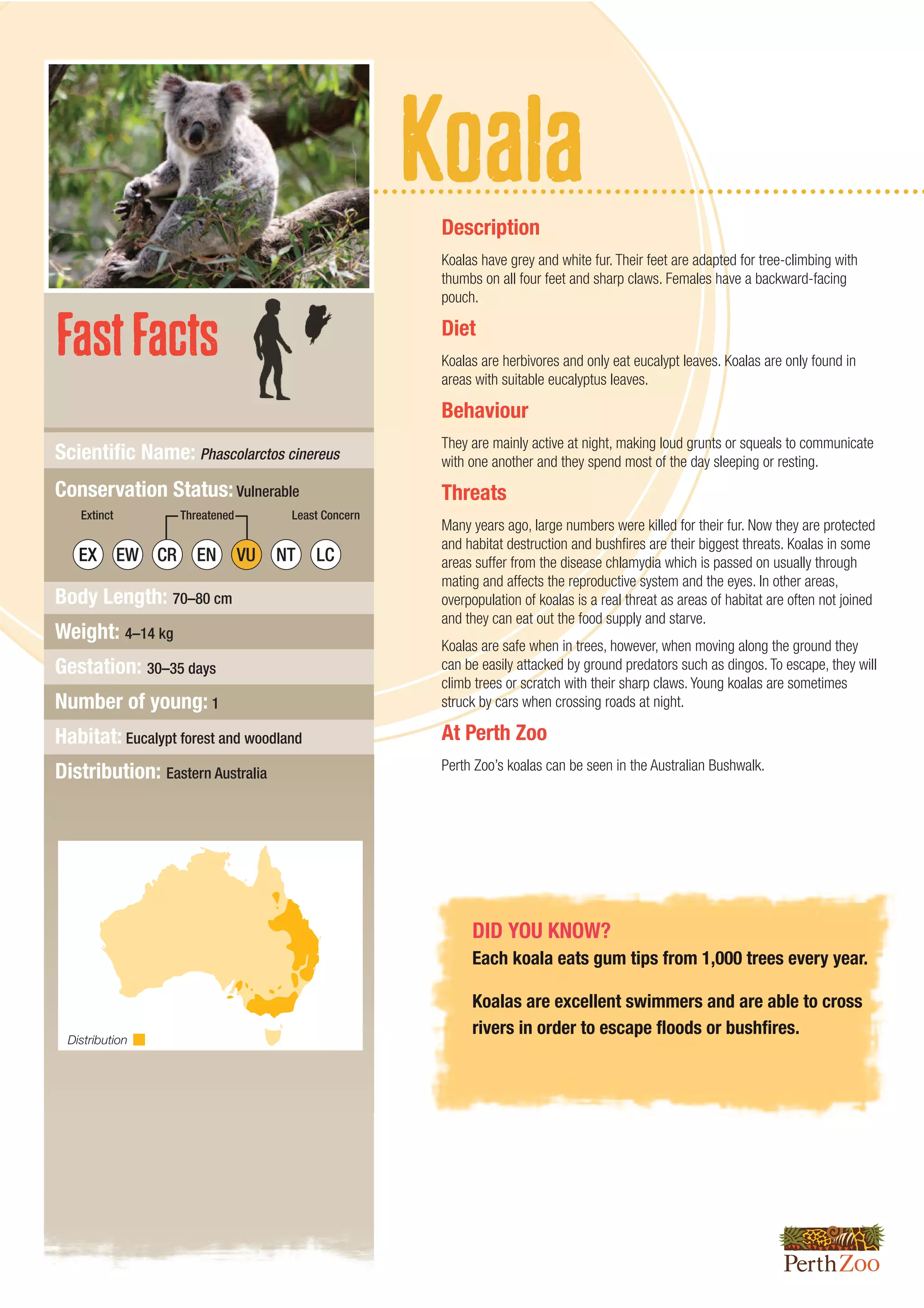 Animal fact sheets | PDF