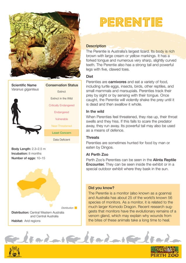 Animal fact sheets | PDF