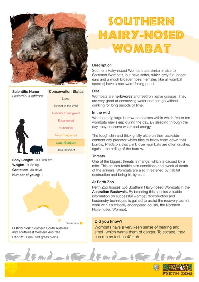 Animal fact sheets | PDF