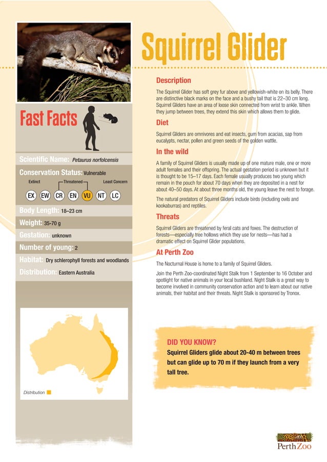 Animal fact sheets | PDF