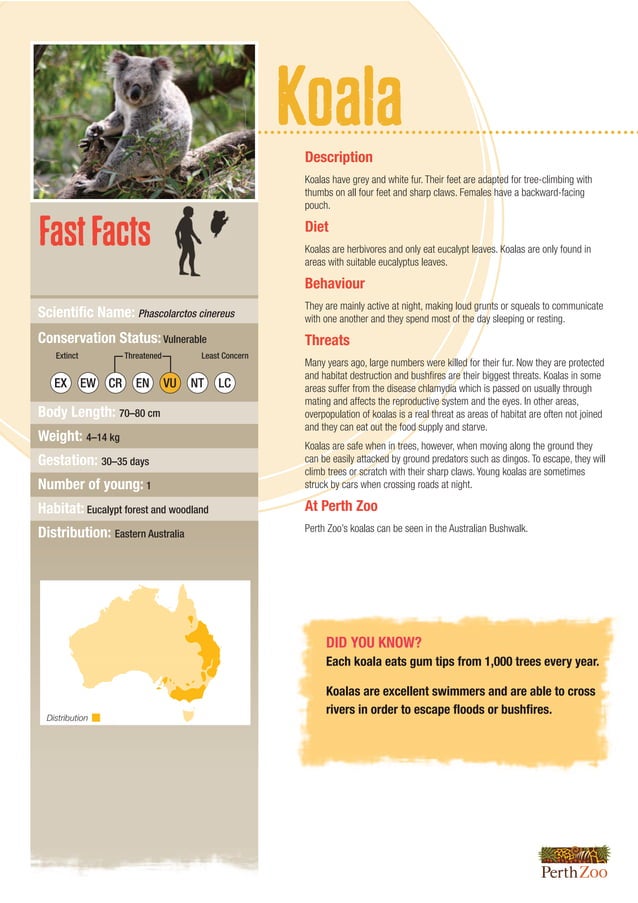 Animal fact sheets | PDF