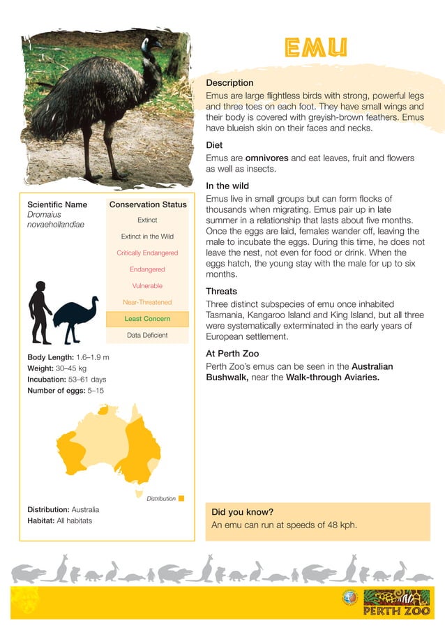 Animal Fact Sheets PDF animal-fact-sheets-pdf