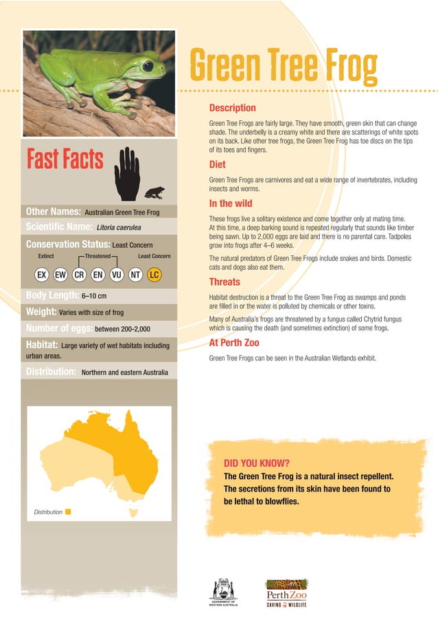 Animal fact sheets | PDF