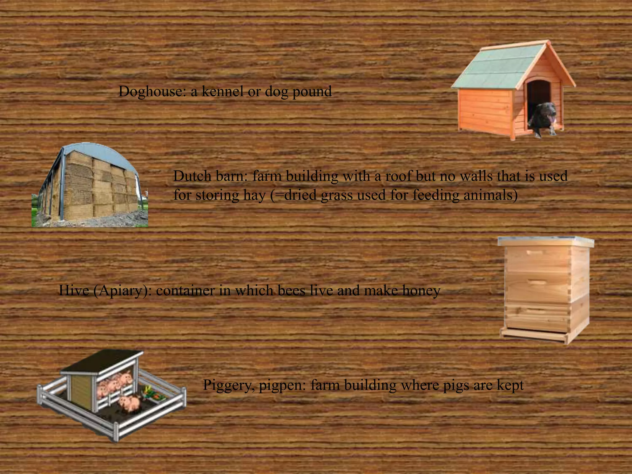 Farm Animal Family and Farm areas | PPTX | Birdwatching | Hobbies ...