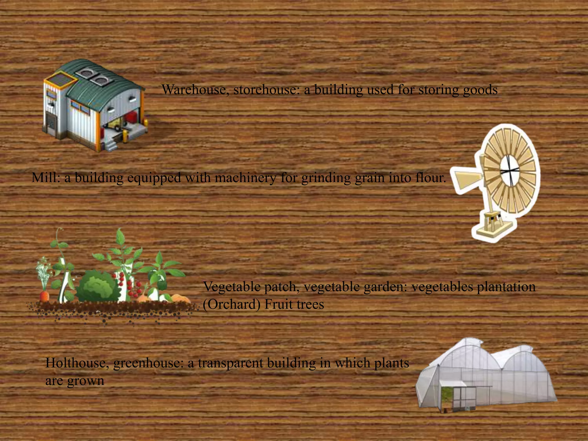 Farm Animal Family and Farm areas | PPTX | Birdwatching | Hobbies ...