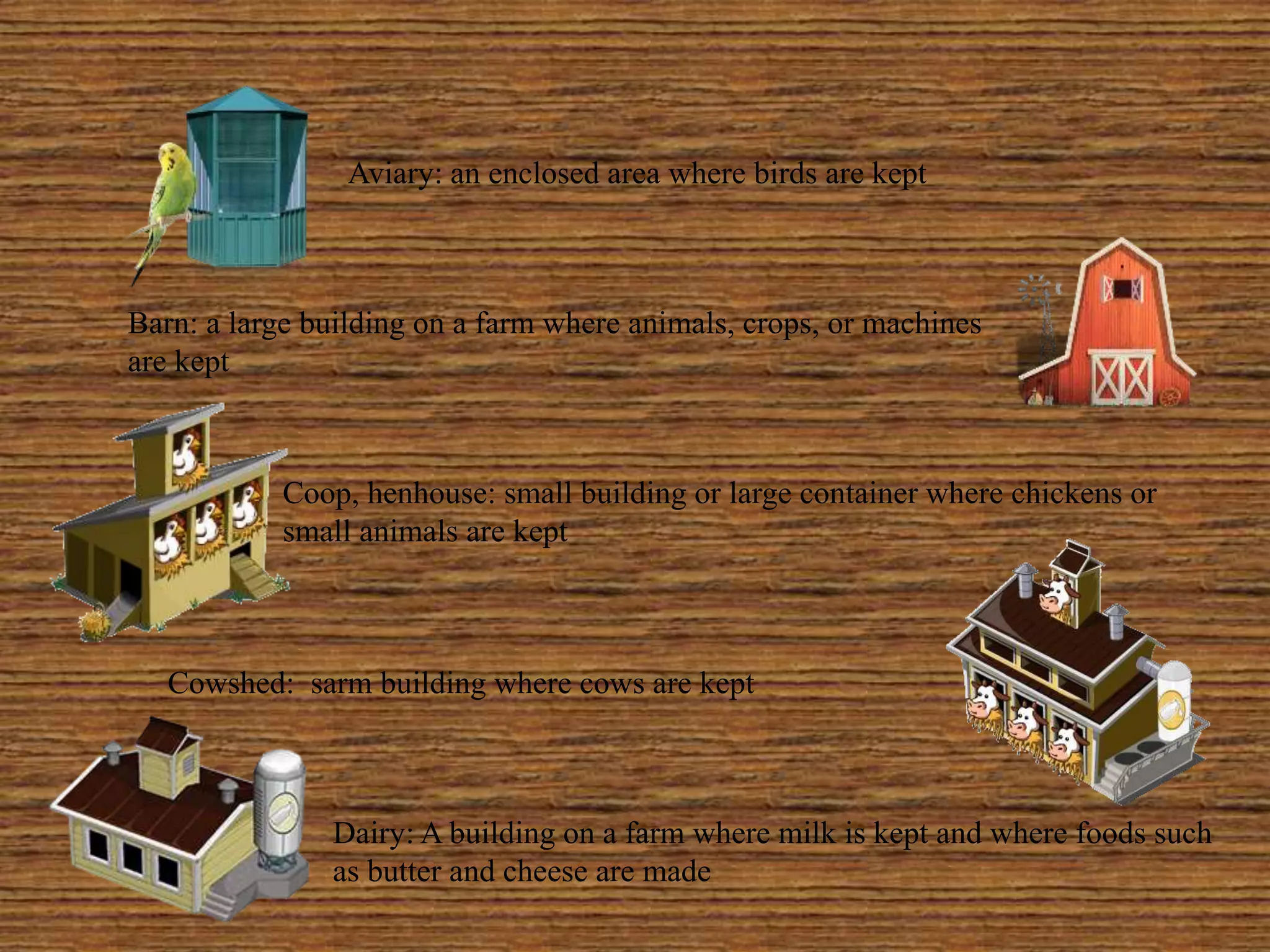 Farm Animal Family and Farm areas | PPTX