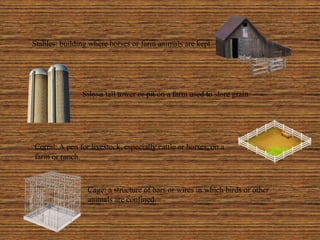 Farm Animal Family and Farm areas | PPTX | Birdwatching | Hobbies ...