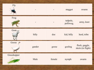 Farm Animal Family and Farm areas | PPTX | Birdwatching | Hobbies ...