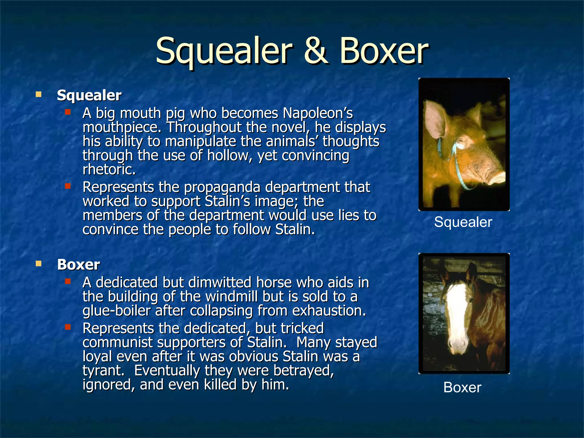Animal farm | PPT