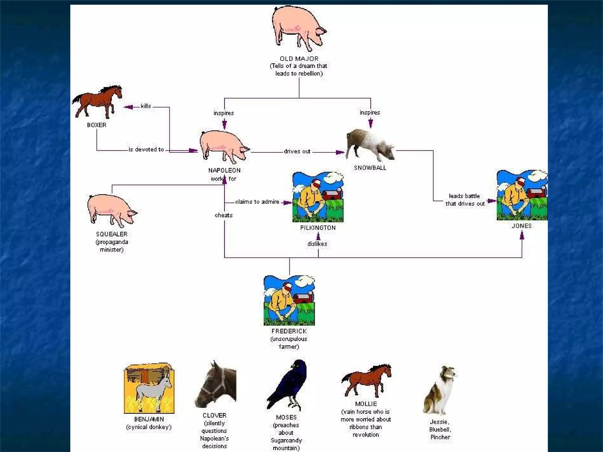 Animal farm | PPT