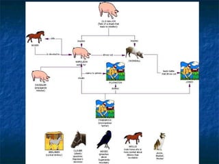 Animal farm | PPT | Fiction | Books and Literature