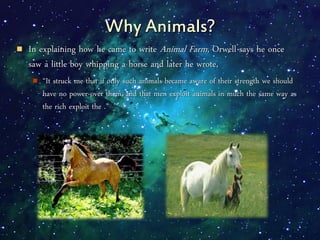 Animal farm | PPT