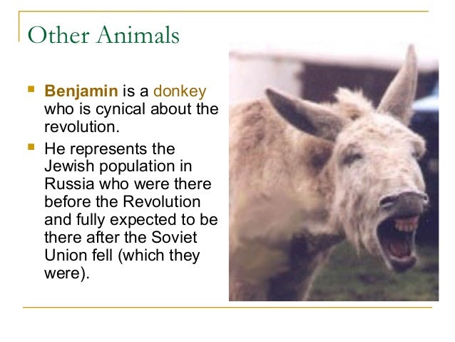 Animal Farm animal-farm