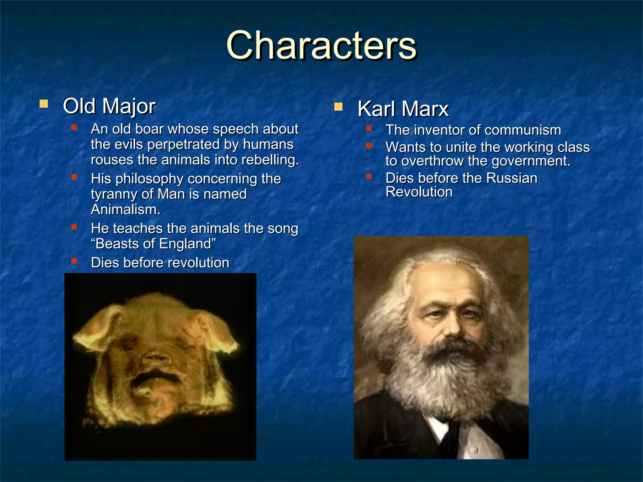 Animal farm English literature | PPT