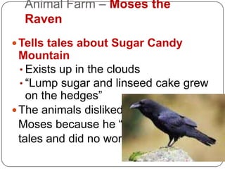 Raven From Animal Farm