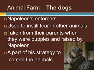 Animal farm Chapter 5 | PPTX