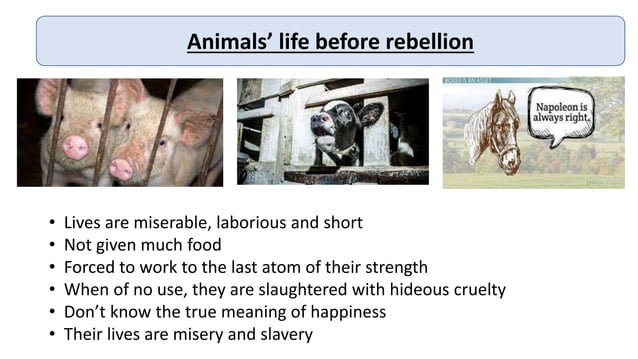 Animal Farm Chapter 1 Part 1.pptx