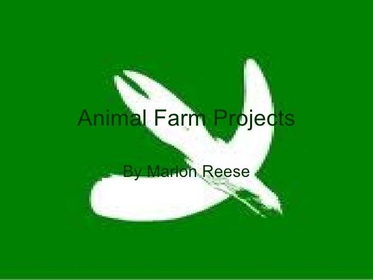 Animal farm projects