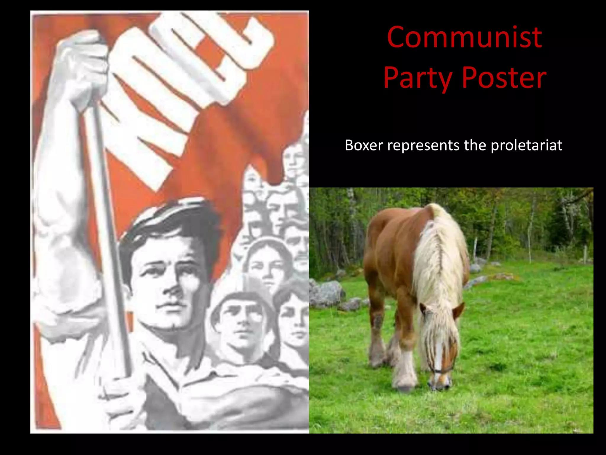 Animal farm propaganda | PPTX