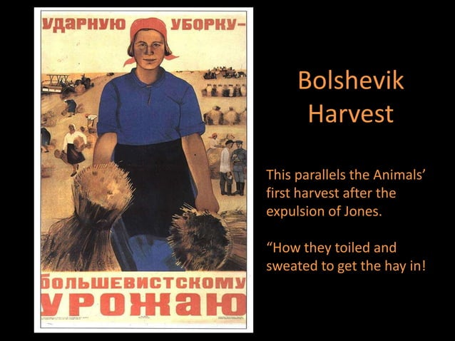 Animal farm propaganda | PPTX