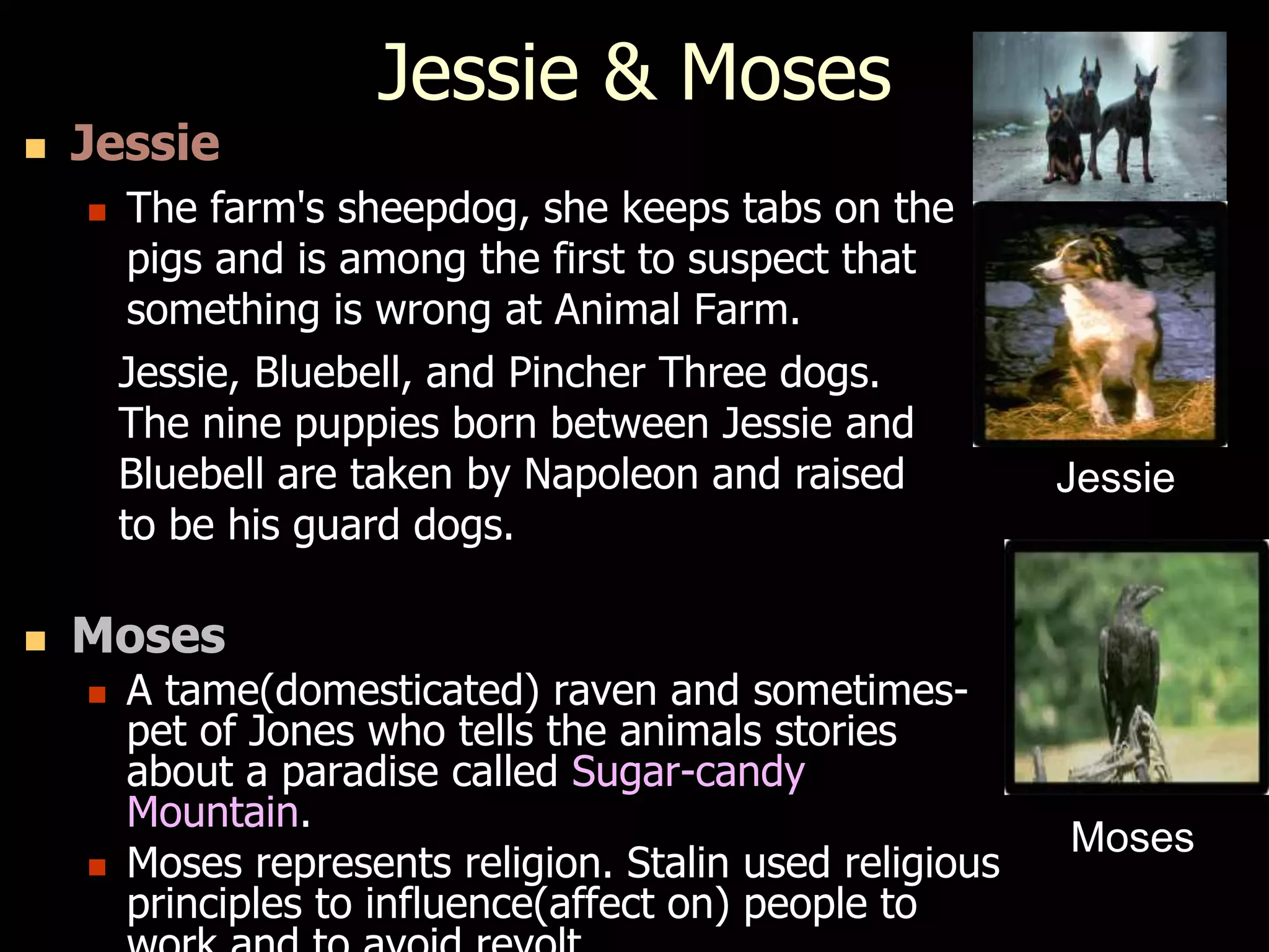 Animal Farm Test Review | PPTX