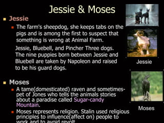 Who Are The Nine Dogs In Animal Farm