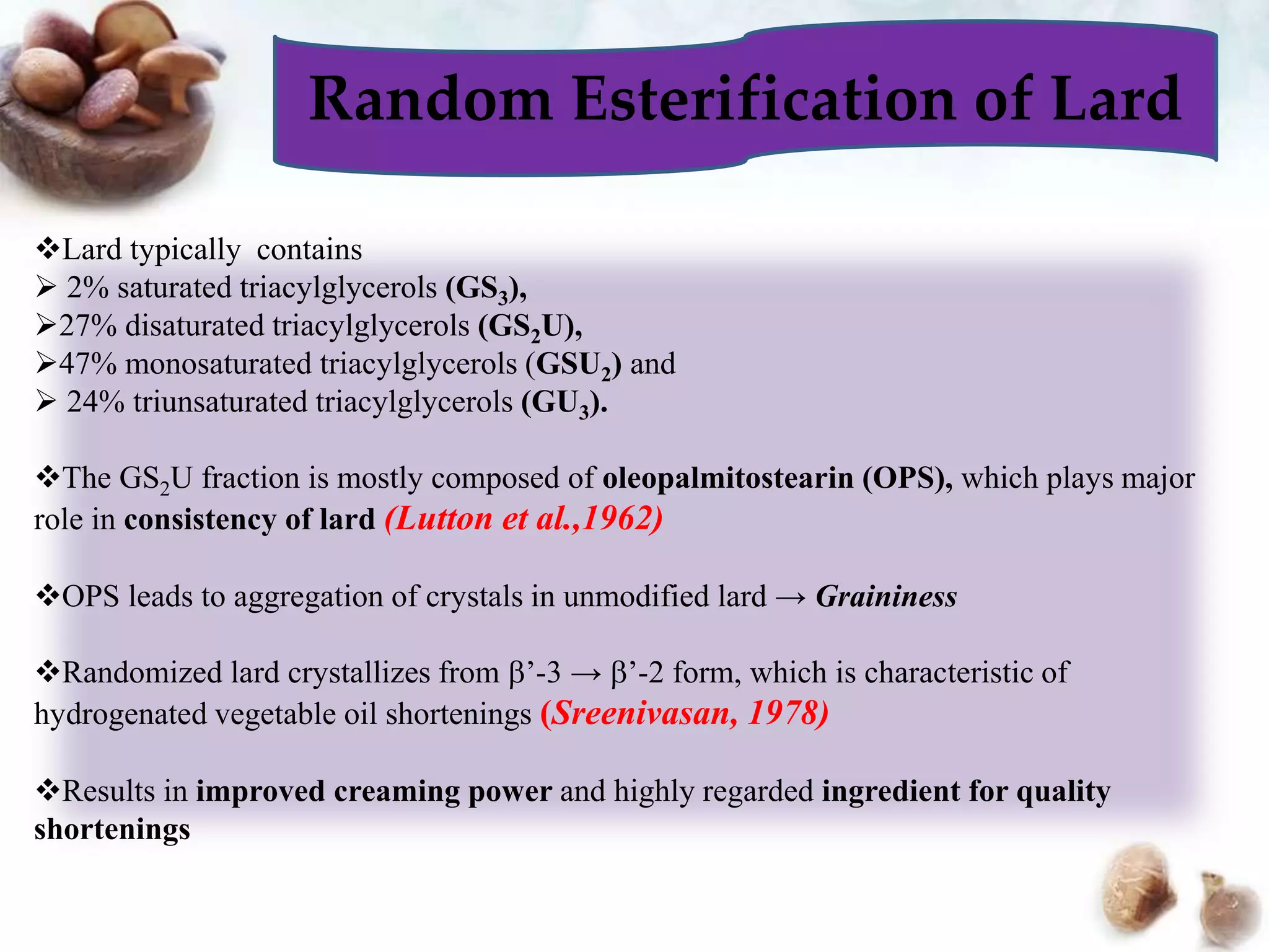 Animal fat process final ppt. | PPTX